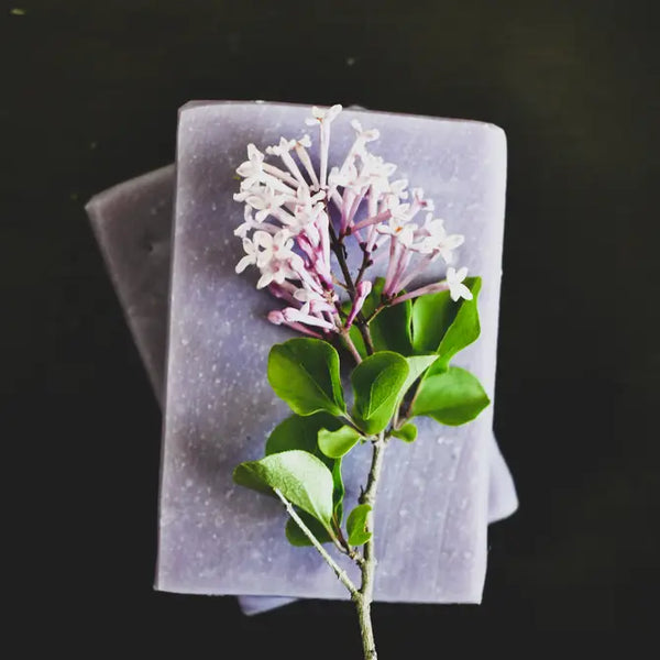 Fresh Lilac Olive Oil Soap Orange Thyme Bath Apothecary