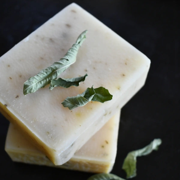 Lemon Verbena Olive Oil Soap Orange Thyme Bath Apothecary